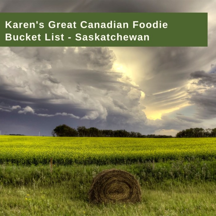 Best Food In Saskatchewan | Alberta Food Tours