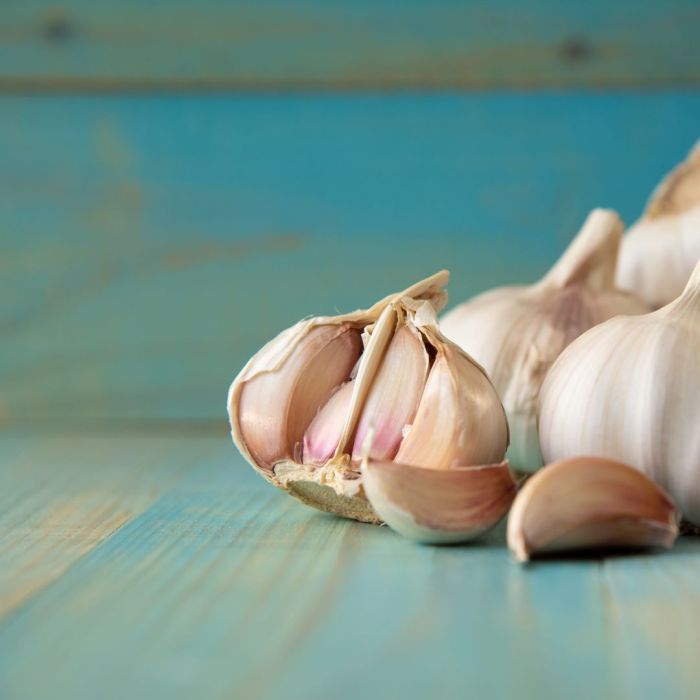 Alberta Garlic Growers To Try Now | Alberta Food Tours